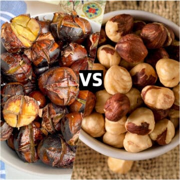 Chestnut vs Hazelnut: Comparison And Difference - Sassy Chopsticks