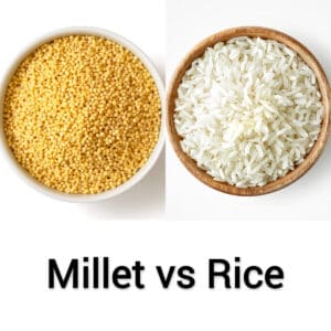 millet vs rice Archives - Sassy Chopsticks