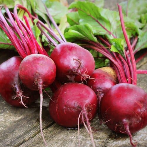 Radish Vs Beet: Exploring The Differences And Facts - Sassy Chopsticks