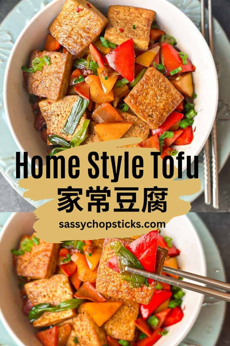 Home Style Tofu: (Quick Braised Tofu Dish, 家常豆腐) - Sassy Chopsticks