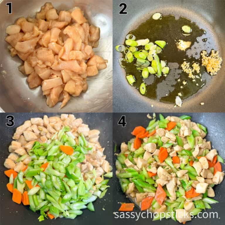 Delicious and Healthy Chicken Celery Stir-Fry Recipe - Sassy Chopsticks