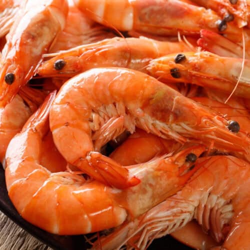 Types of Shrimp: A Guide to Popular Varieties - Sassy Chopsticks