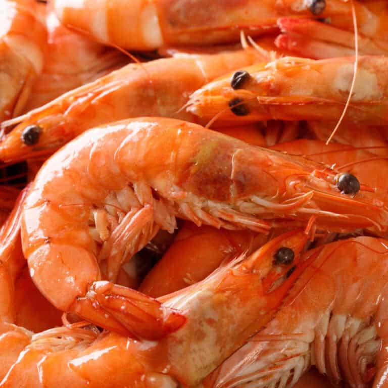 Types of Shrimp: A Guide to Popular Varieties - Sassy Chopsticks
