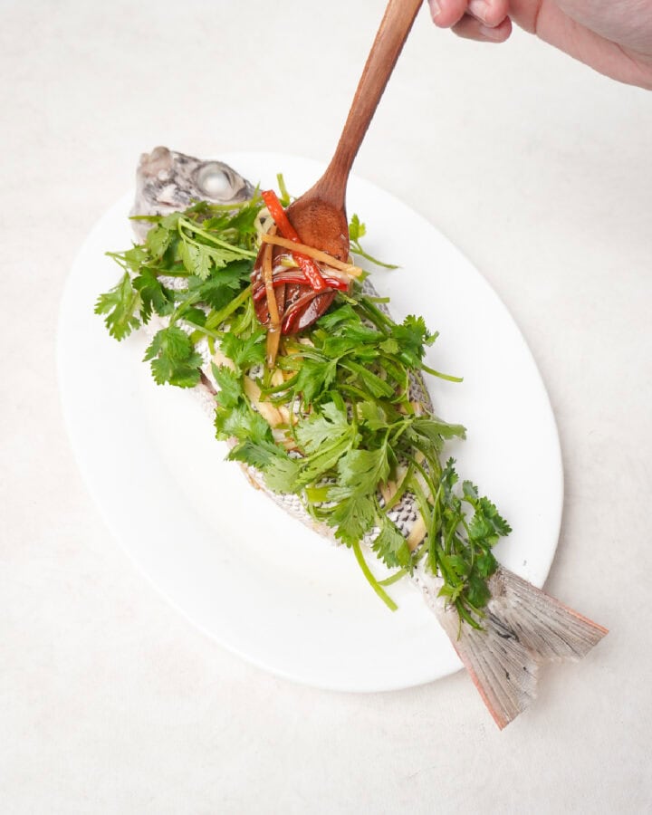 Easy and Delicious Chinese Steamed Bass Recipe - Sassy Chopsticks